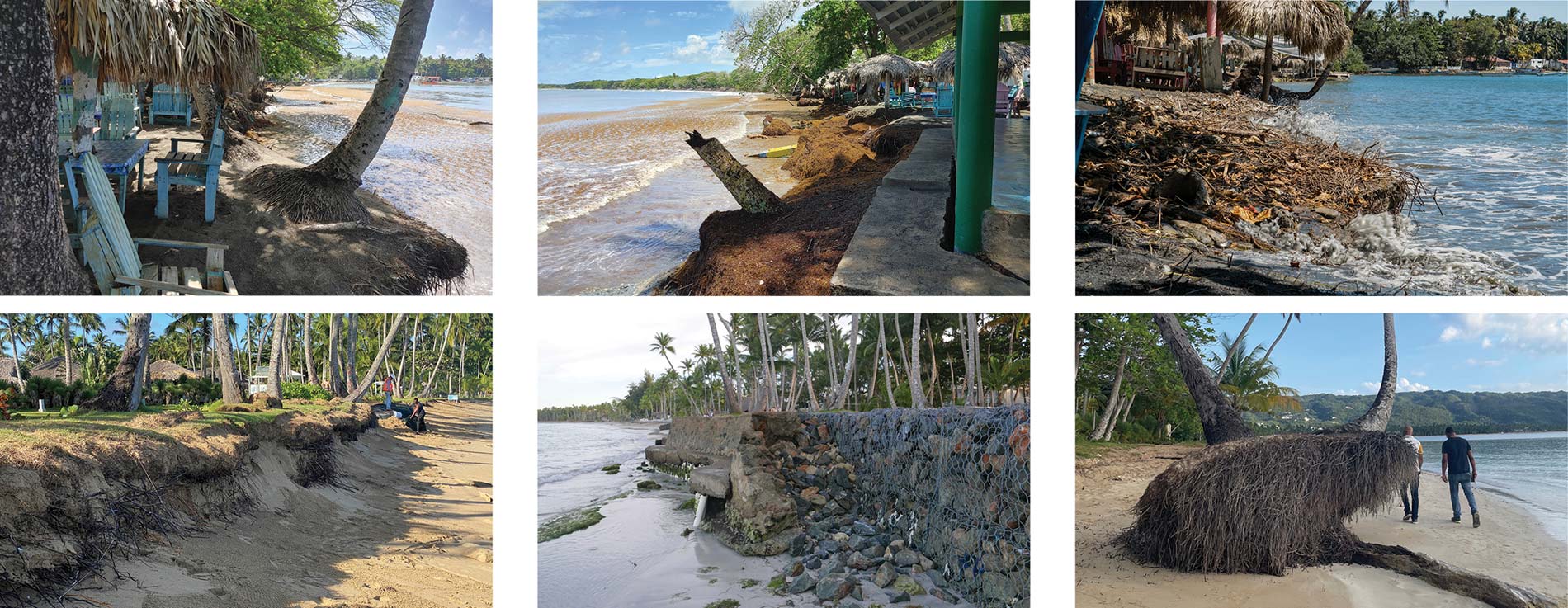 Proteger el capital natural: estrategias para la gestión de playas en ...